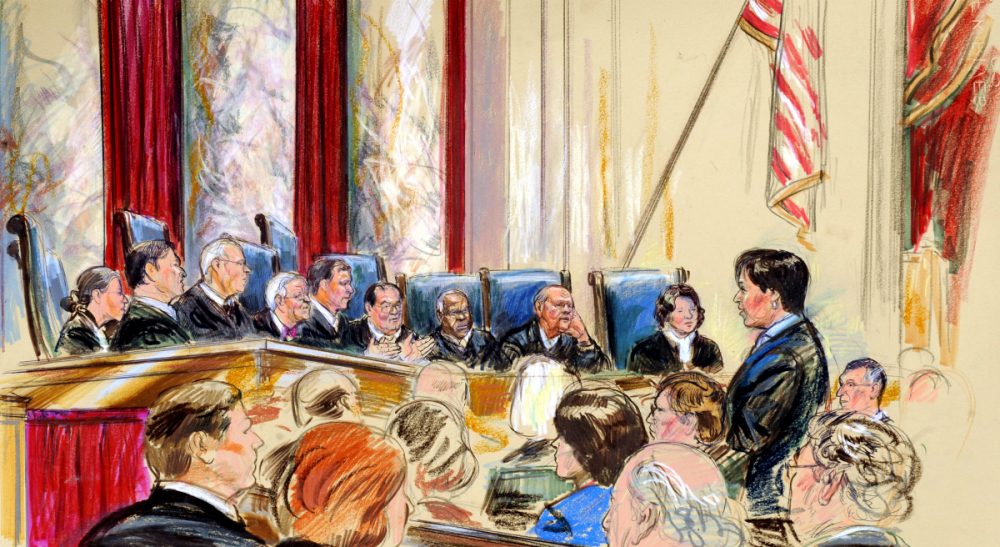 Citizens United v. Federal Election Commission: Corporations and ...